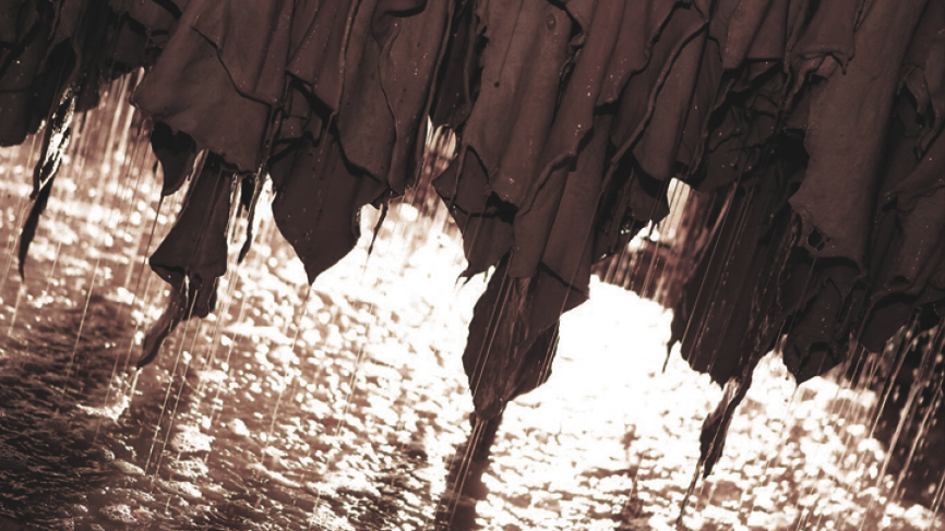 About leather » Monfrini Pellami