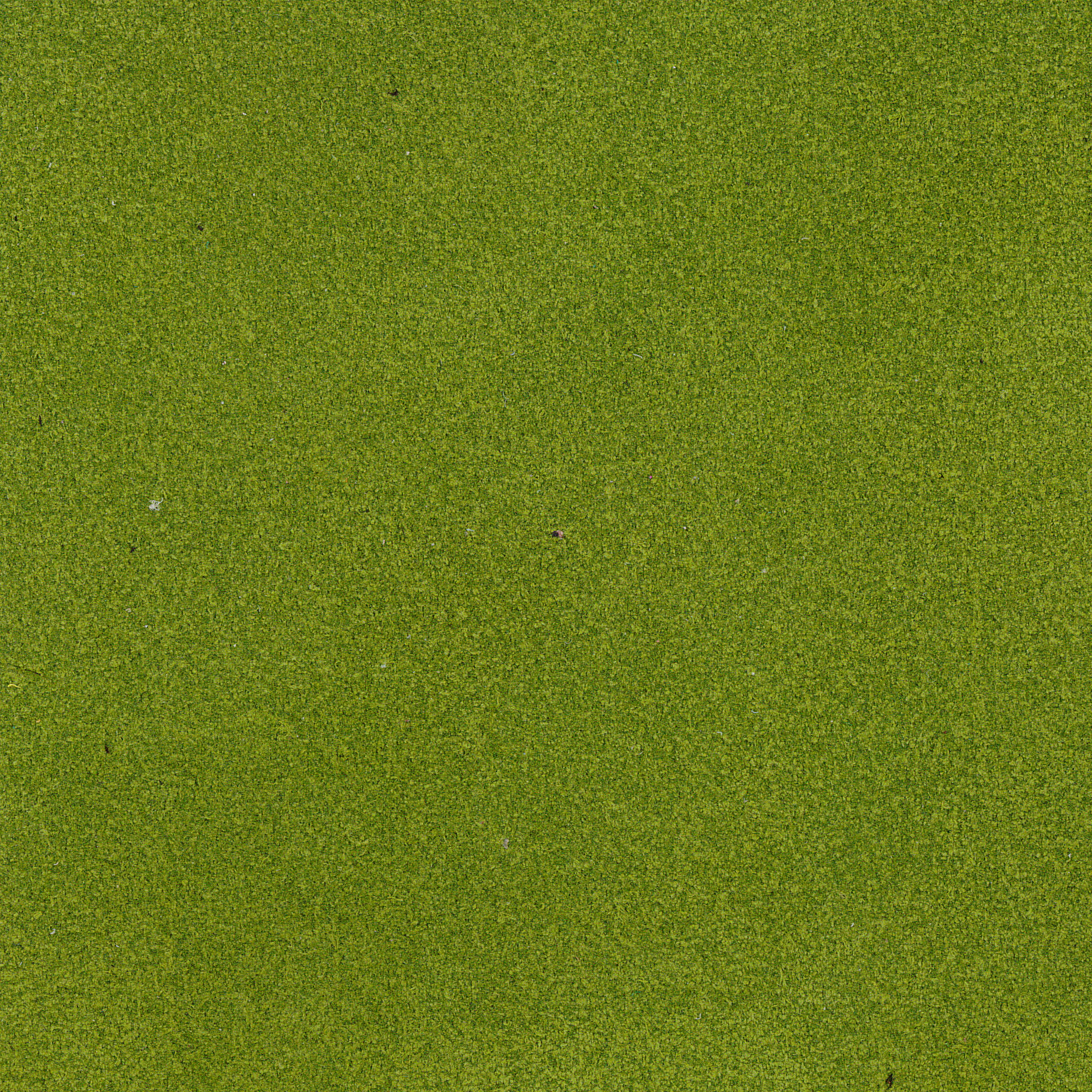 Velour Collection » Monfrini Pellami